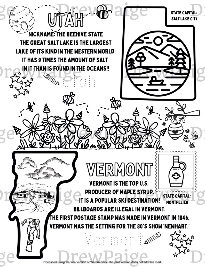 50 States Kids Coloring Activity Book - Patriotic Patty's Great ...