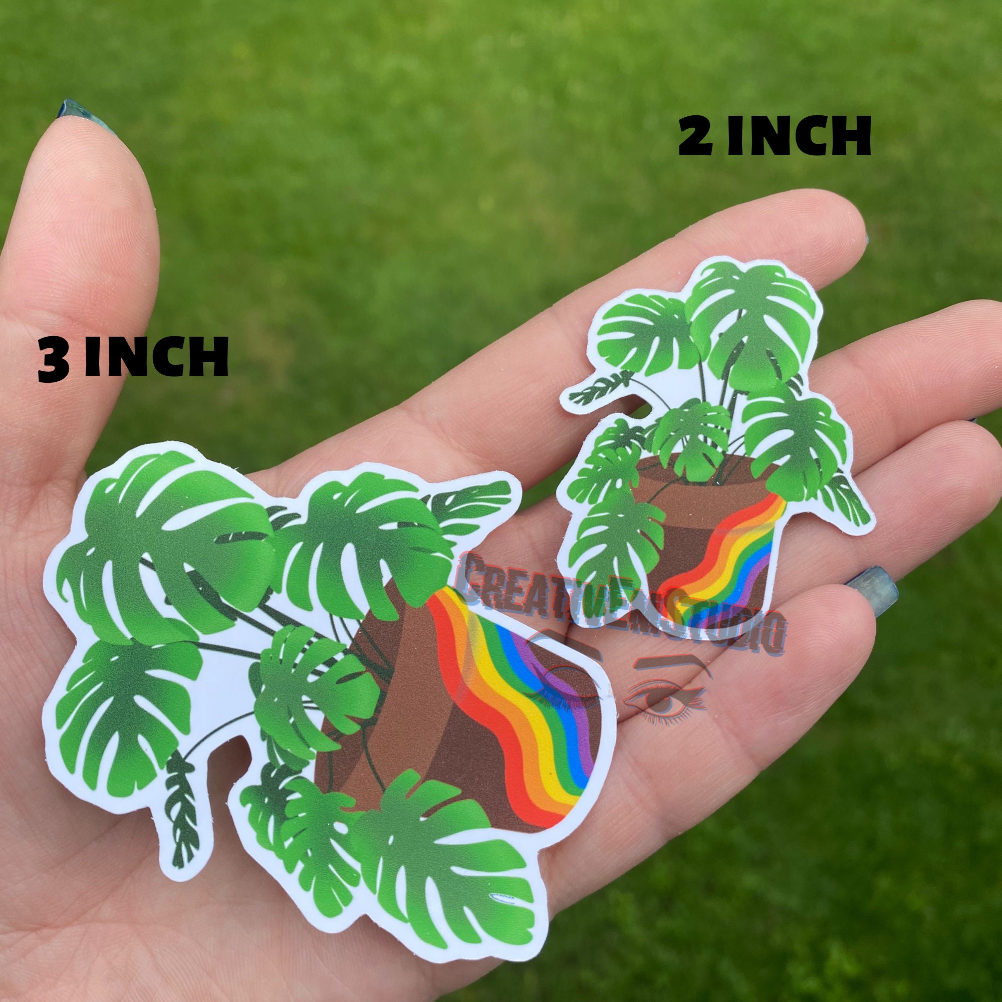 Transgender flag Plant Sticker LGBTQA Pride Plant Sticker - Etsy 日本