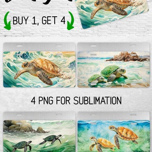 Sea Turtle License Plate PNG Bundle Beach Turtle License Plate Design ...