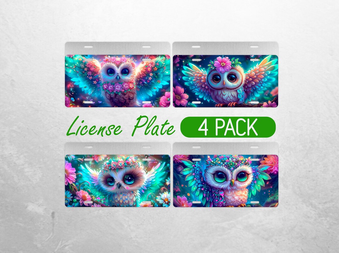 3D Baby Owl License Plate PNG Colorful Owl License Plate Design ...