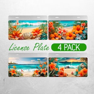 3D Hawaiian Beach License Plate PNG Floral Hawaii License Plate Design ...