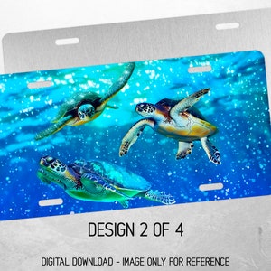3D Sea Turtle License Plate PNG Ocean Seashells License Plate Design ...