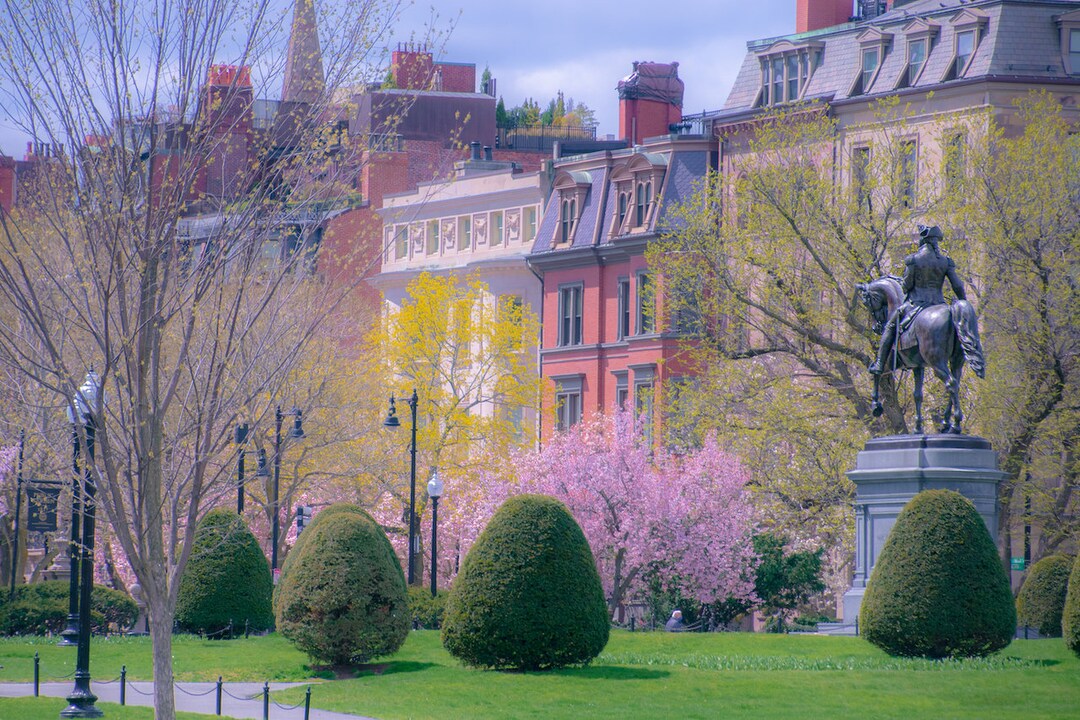 PHOTO | Boston Public Garden and Back Bay Brownstones | Paper, Canvas ...