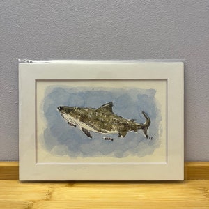 Tiger Shark (01) Watercolor Print - Etsy