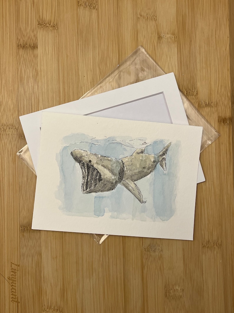 Basking Shark (01) Watercolor Print - Etsy