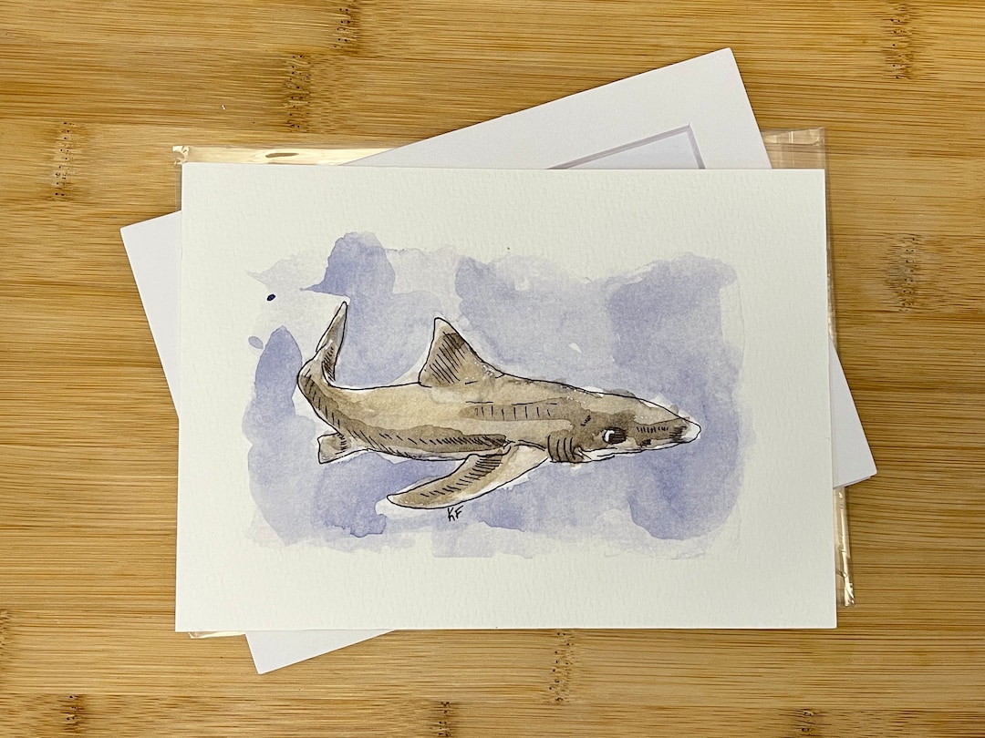 Spiny Dogfish Shark (01) Watercolor Print - Etsy