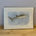 Whale Shark (02) Watercolor Print; Card - Etsy