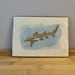 Lemon Shark (02) Watercolor Print; Card - Etsy
