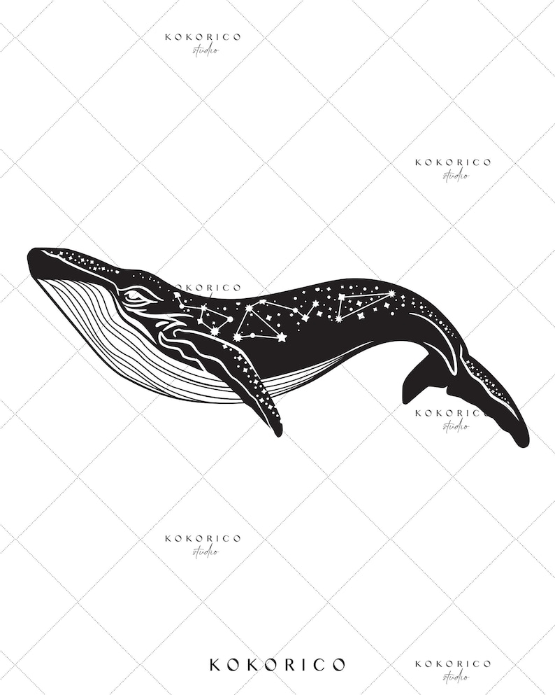 Starry Whale, SVG, Nursery Decal, Commercial Use Clipart, Jpeg, Png - Etsy