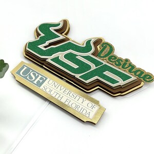 Graduation Decoration, Custom Grad Party Decoration, Champagne Tags,usf ...