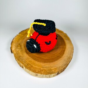 Crochet Ladybug Graduation Gift, Seniors 2024 Gifts, High School Grad ...