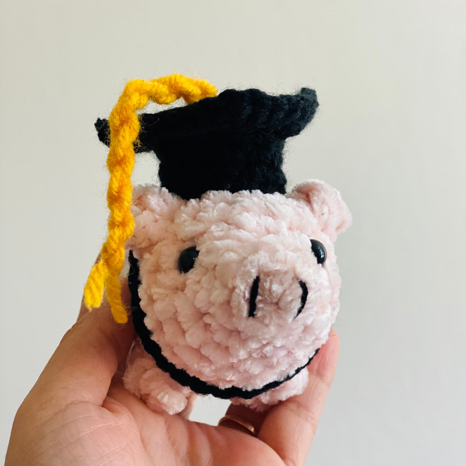 Mini Pig With Graduation Cap Gift, Handmade Graduation Gifts for Her ...