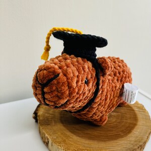 Crochet Capybara Graduation Gifts, Handmade Graduation Gifts, Class of ...