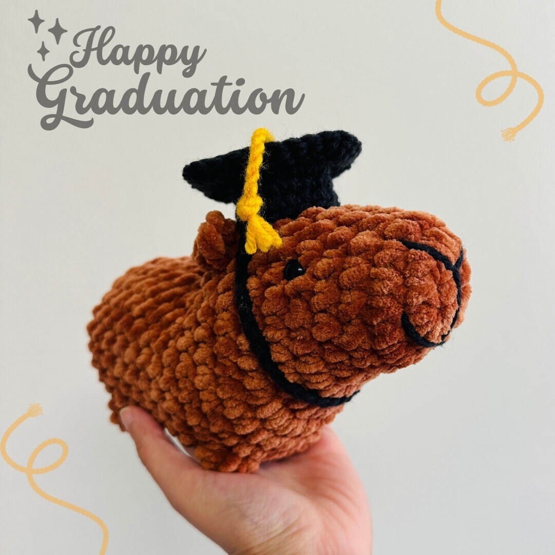 Crochet Capybara Graduation Gifts, Handmade Graduation Gifts, Class of ...