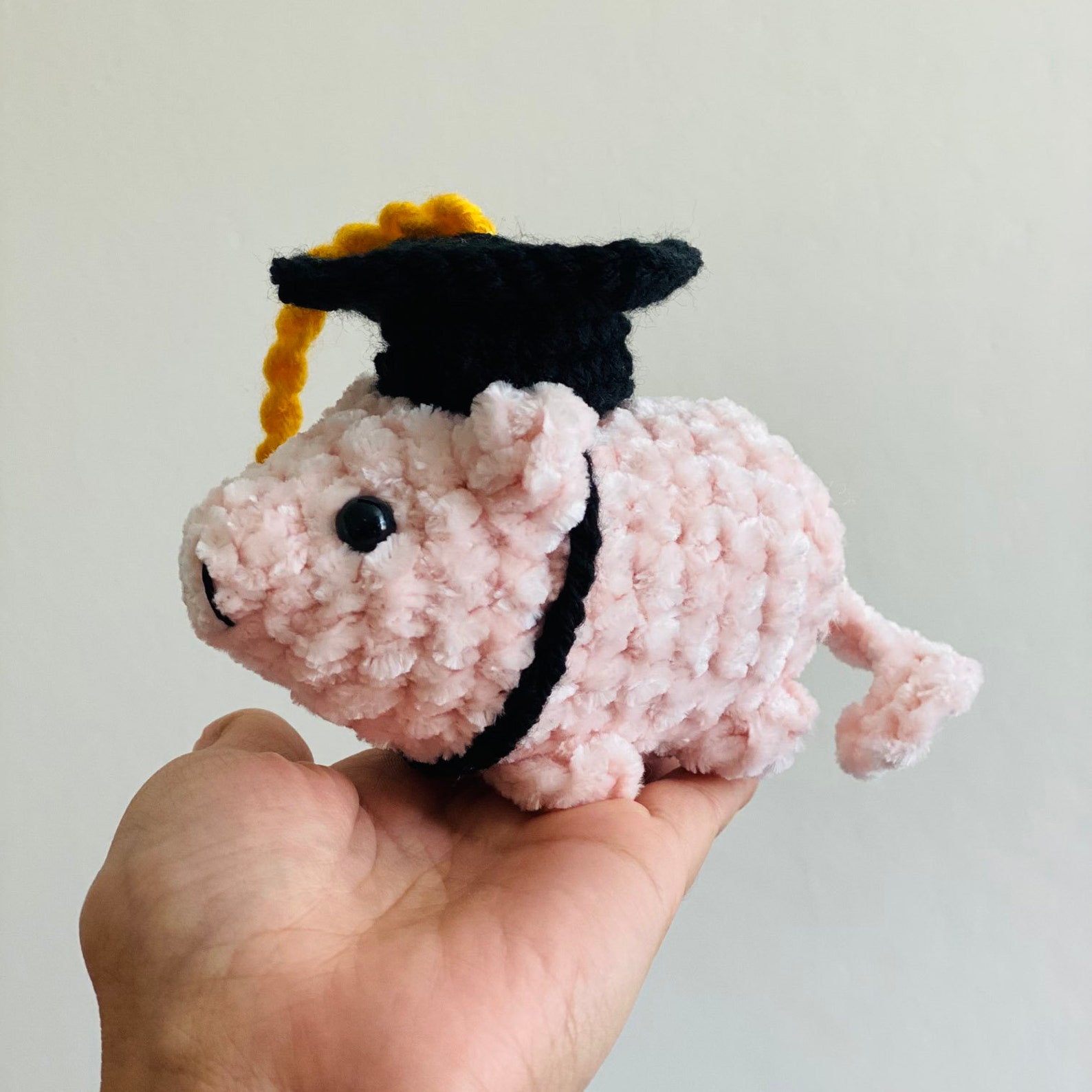 Mini Pig With Graduation Cap Gift, Handmade Graduation Gifts for Her ...