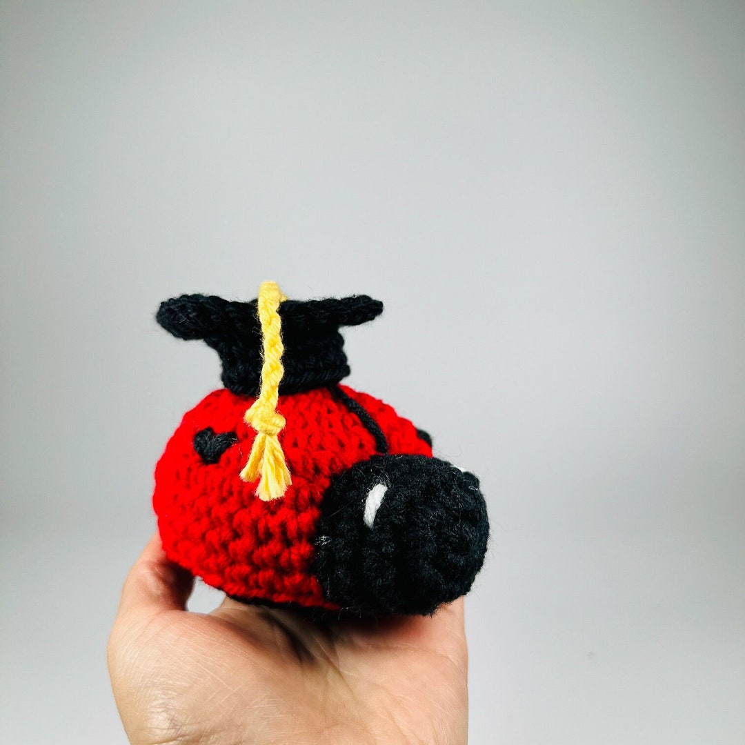 Crochet Ladybug Graduation Gift, Seniors 2024 Gifts, High School Grad ...