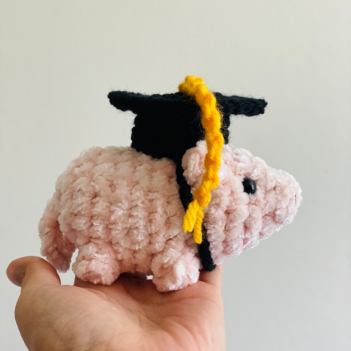 Mini Pig With Graduation Cap Gift, Handmade Graduation Gifts for Her ...