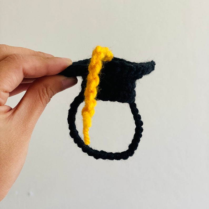Mini Pig With Graduation Cap Gift, Handmade Graduation Gifts for Her ...