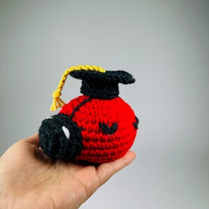 Crochet Ladybug Graduation Gift, Seniors 2024 Gifts, High School Grad ...
