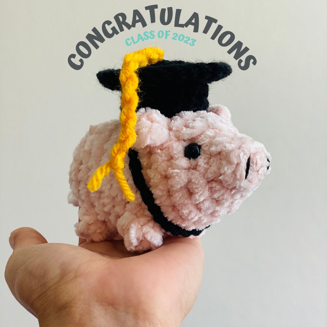 Mini Pig With Graduation Cap Gift, Handmade Graduation Gifts for Her ...
