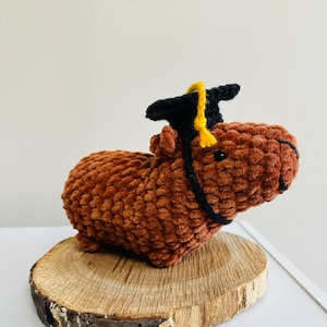 Crochet Capybara Graduation Gifts, Handmade Graduation Gifts, Class of ...