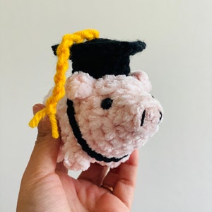 Mini Pig With Graduation Cap Gift, Handmade Graduation Gifts for Her ...