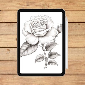 50 Beautiful Flowers Coloring Book, Printable PDF, Botanical Floral ...