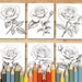 50 Beautiful Flowers Coloring Book, Printable PDF, Botanical Floral ...