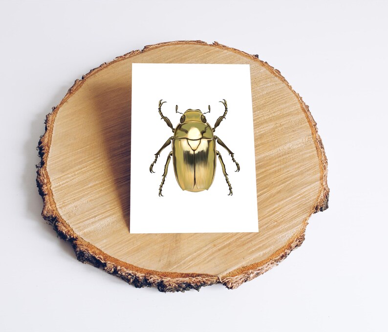 Golden Jewel Scarab Beetle Bugs Poster Printable DIGITAL DOWNLOAD ...