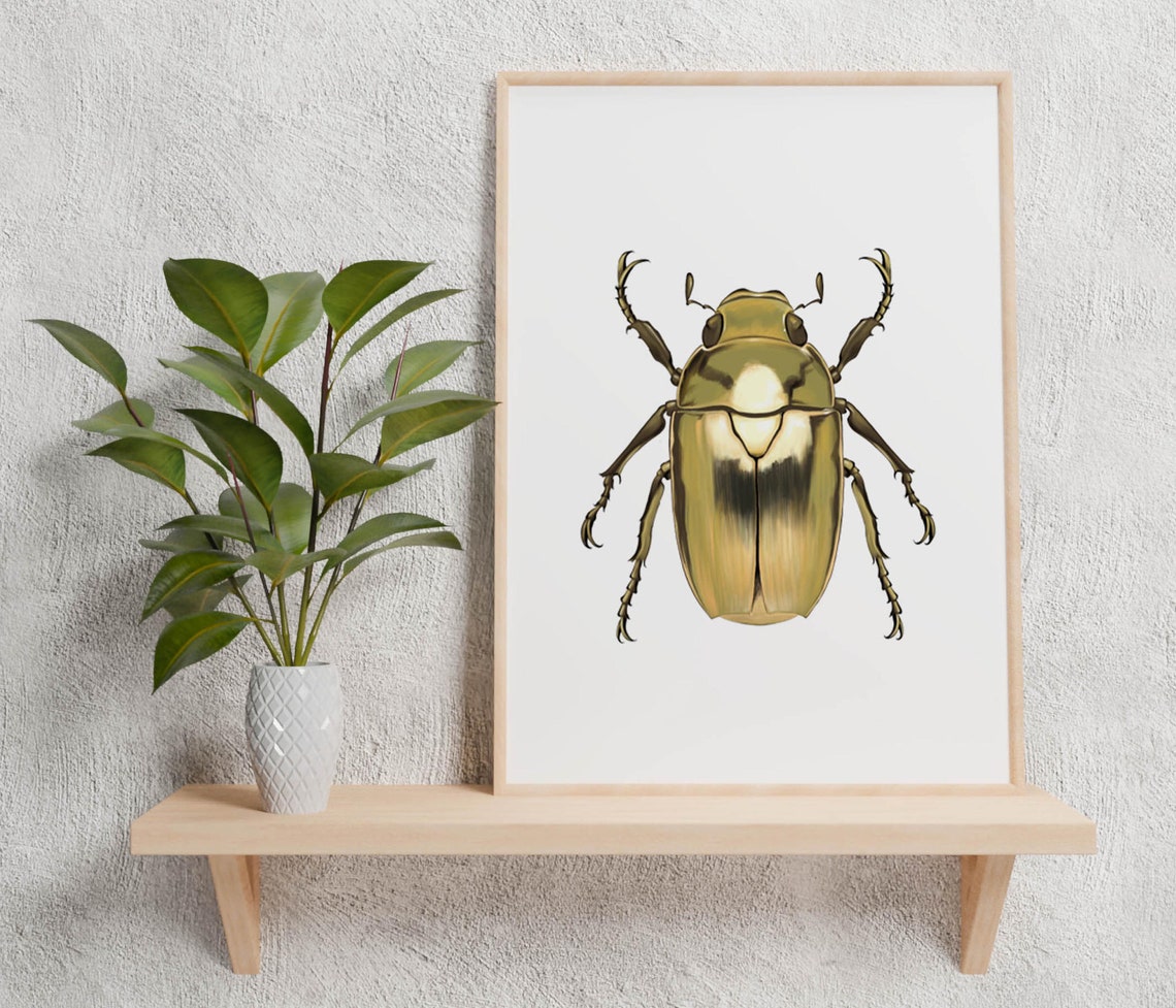 Golden Jewel Scarab Beetle Bugs Poster Printable DIGITAL DOWNLOAD ...