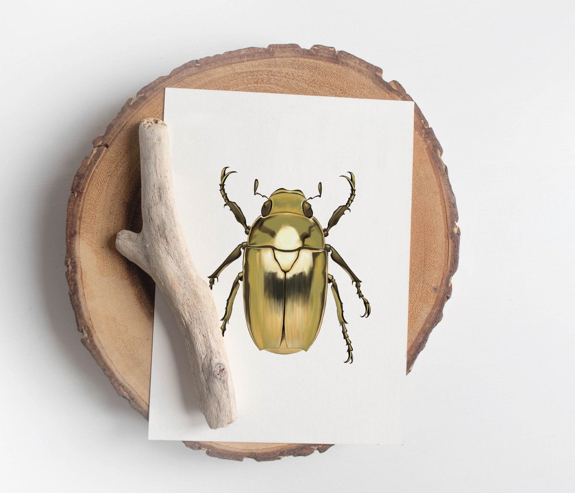 Golden Jewel Scarab Beetle Bugs Poster Printable DIGITAL DOWNLOAD ...