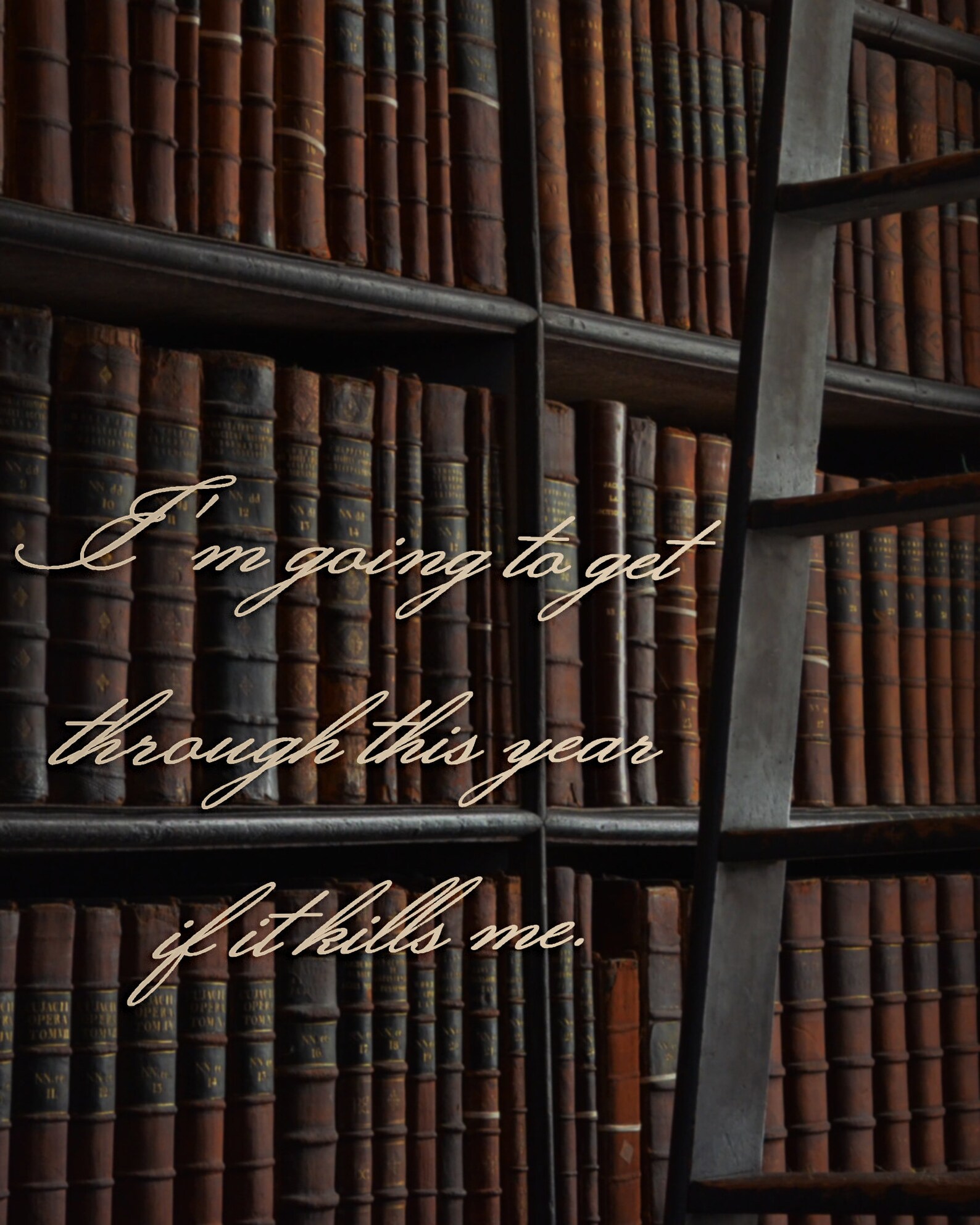 Bookshelf Quote Wall Art Print Printable | Etsy