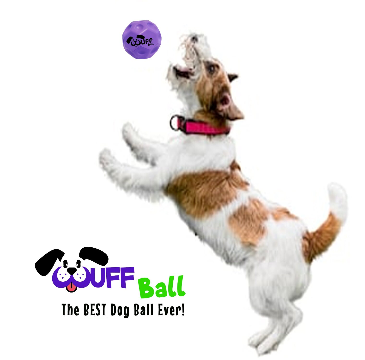 WUFF BALL Fetch Ball for Dog Toy, High Quality Fun Durable Ultra BOUNCY ...
