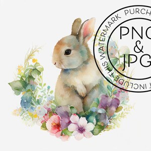 Easter Bunny Clipart Bundle Watercolour Rabbits Bunnies Png - Etsy Canada