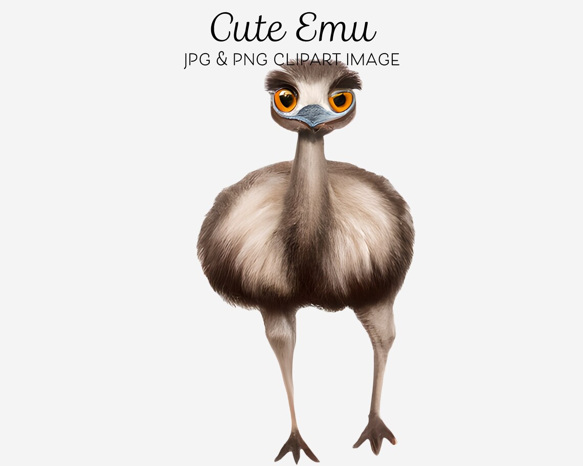 Cute Emu Clipart Emu Png Australian Bird Kawaii Chibi - Etsy