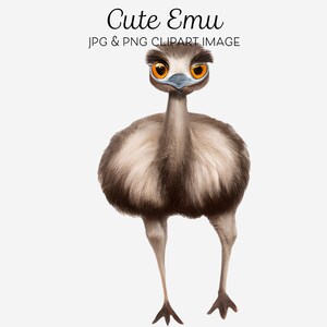 Cute Emu Clipart Emu Png Australian Bird Kawaii Chibi Cartoon ...