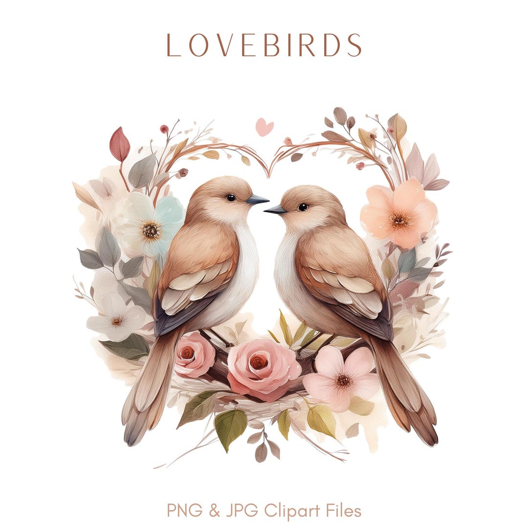 Valentine Lovebirds PNG, Cute Romantic Birds Clipart, Floral Bird ...
