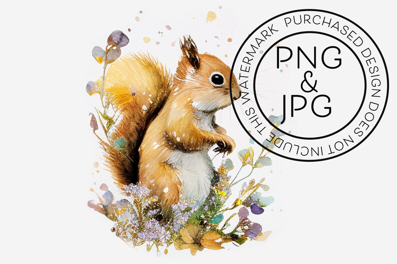Watercolour Squirrels Clipart Bundle Squirrels Png Woodland - Etsy