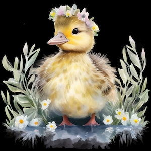 Cute Duckling With Floral Crown, Baby Duck Clipart, Duckling Png ...