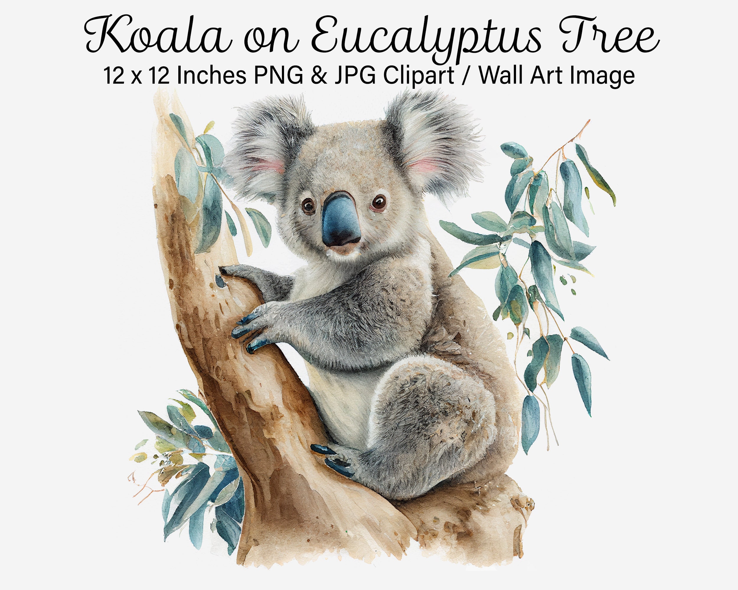 Eucalyptus Tree Clipart