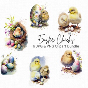 Easter Chicks Clipart Bundle, Easter Png, Cute Baby Chickens, Easter ...