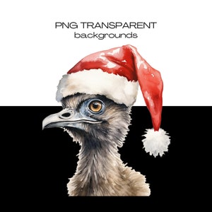 Emu Christmas Clipart, Aussie Christmas Clipart, Xmas Hats, Watercolour ...
