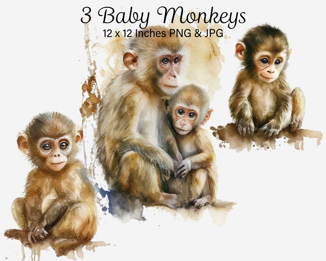 Baby Monkey Clipart Bundle Mother and Baby Monkey - Etsy Australia