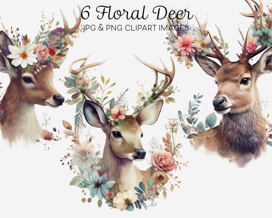 Floral Deer Clipart Bundle Deer Antlers Png Floral Antlers - Etsy