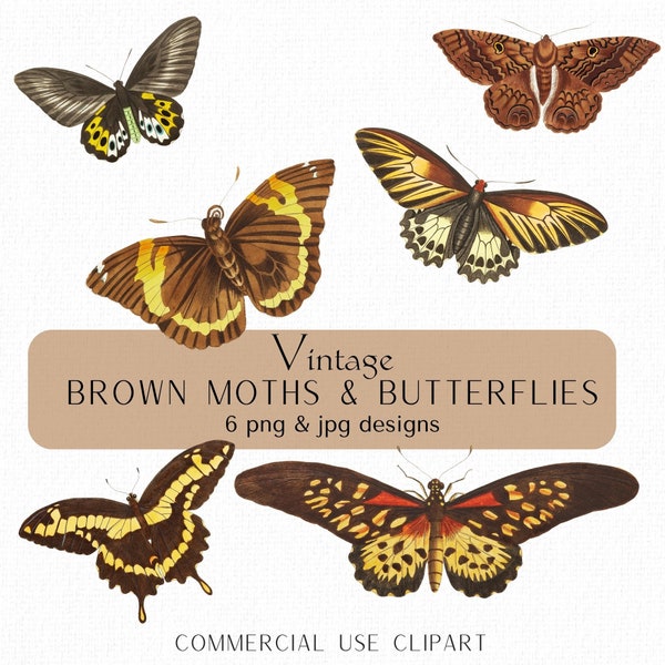 Vintage Butterfly Clipart, Instant Download for Digital Scrapbooking ...