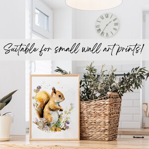Watercolour Squirrels Clipart Bundle, Squirrels Png, Woodland Animals ...