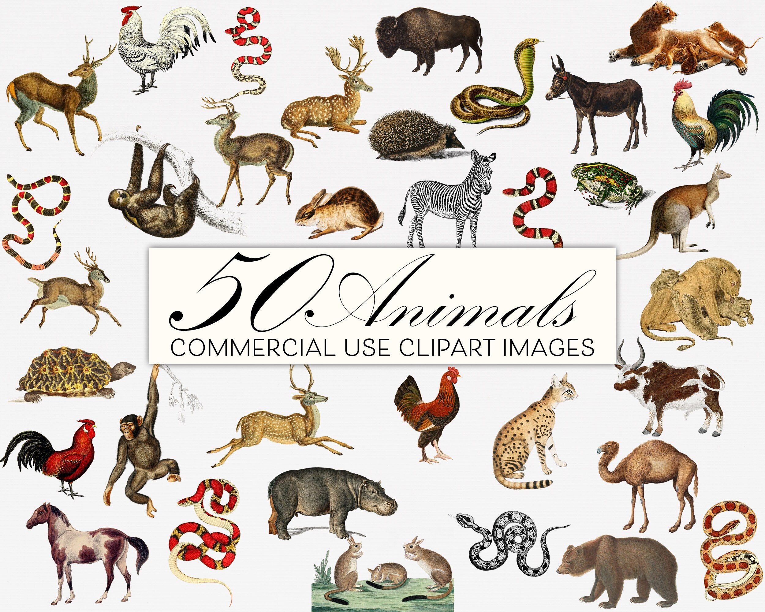 Mega Clipart Bundle 531 Commercial Use Clip Art Images - Etsy