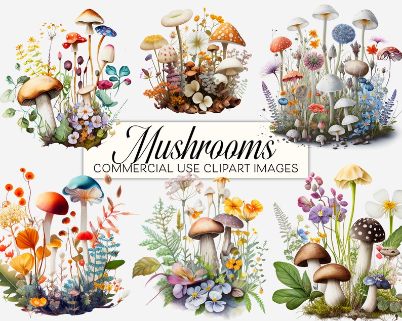 Forest Mushrooms Clipart Bundle Mushrooms Png Fantasy Art - Etsy