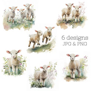 Spring Lambs Clipart Bundle Watercolour Lamb Baby Sheep Png Lamb Png ...