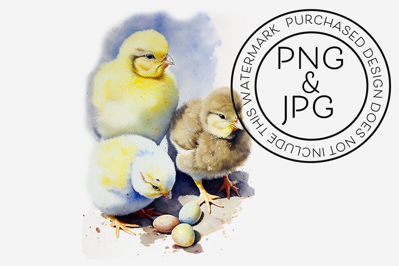 Easter Chicks Clipart Bundle Easter Png Cute Baby Chickens - Etsy